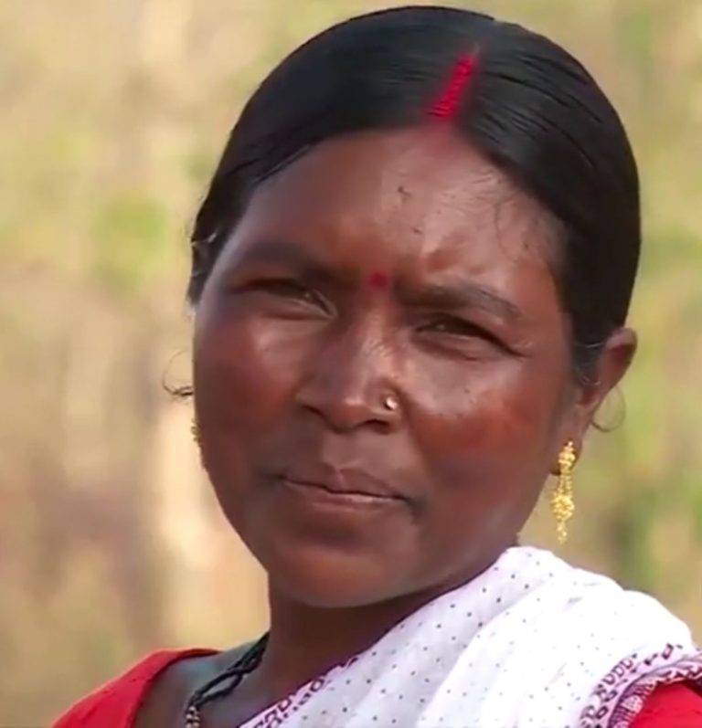 Virtual Tour to Odisha State Tribal Museum: Bhumij Tribe of Odisha – Kalinga Voice