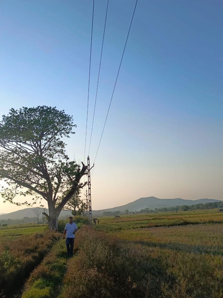 TPSODL commissions new 33 kV line benefiting 34000 Consumers – Kalinga ...